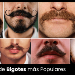 Los Estilos de Bigotes más Populares en 2024 | belliata.es